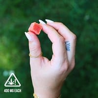 IKONIK Vegan THCp + D8 Gummies – Wild Orchard Hemp