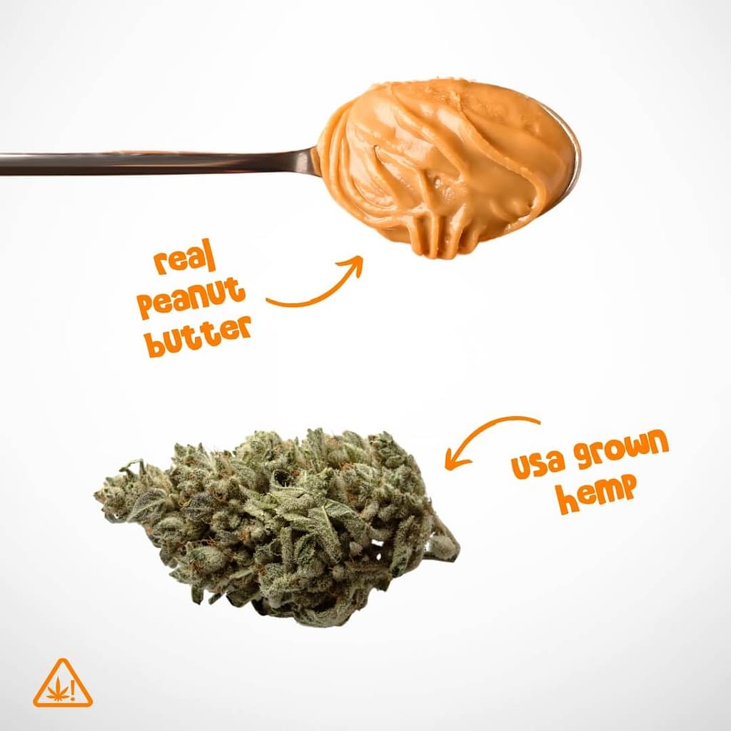 Buy Baked Delta-9 Peanut Bud-der Cookies | Wildorchardhemp