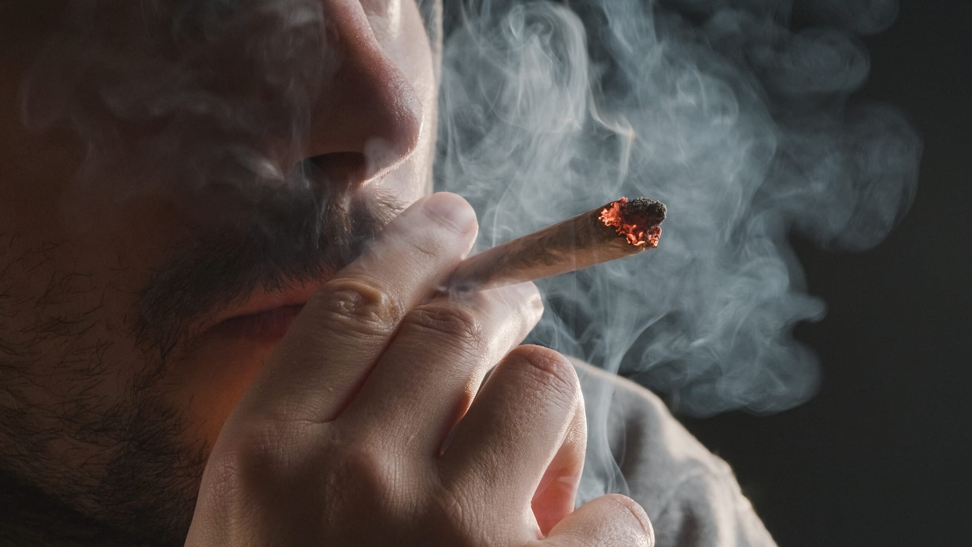 How long does THCA stay in your system? – Wild Orchard Hemp