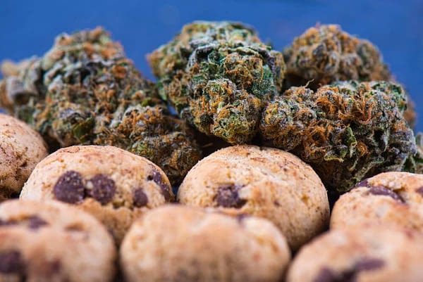 Cookies Strain