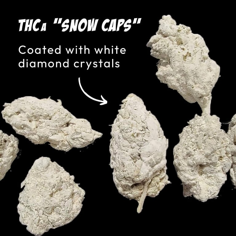 IKONIK SnowKapz THCa White Diamond Flower – Wild Orchard Hemp